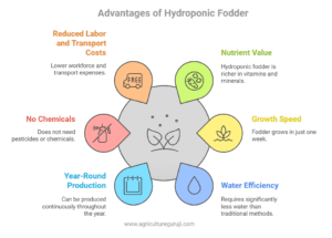 Growing Hydroponic Fodder Step by Step Guide (7 days)