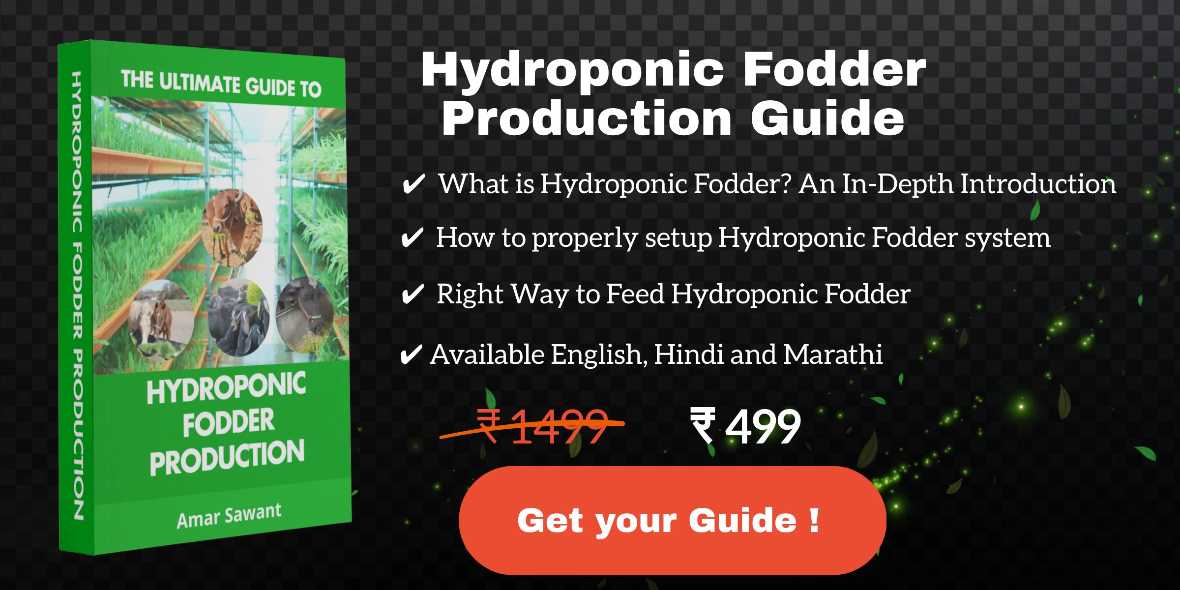 Growing Hydroponic Fodder Step by Step Guide (7 days)
