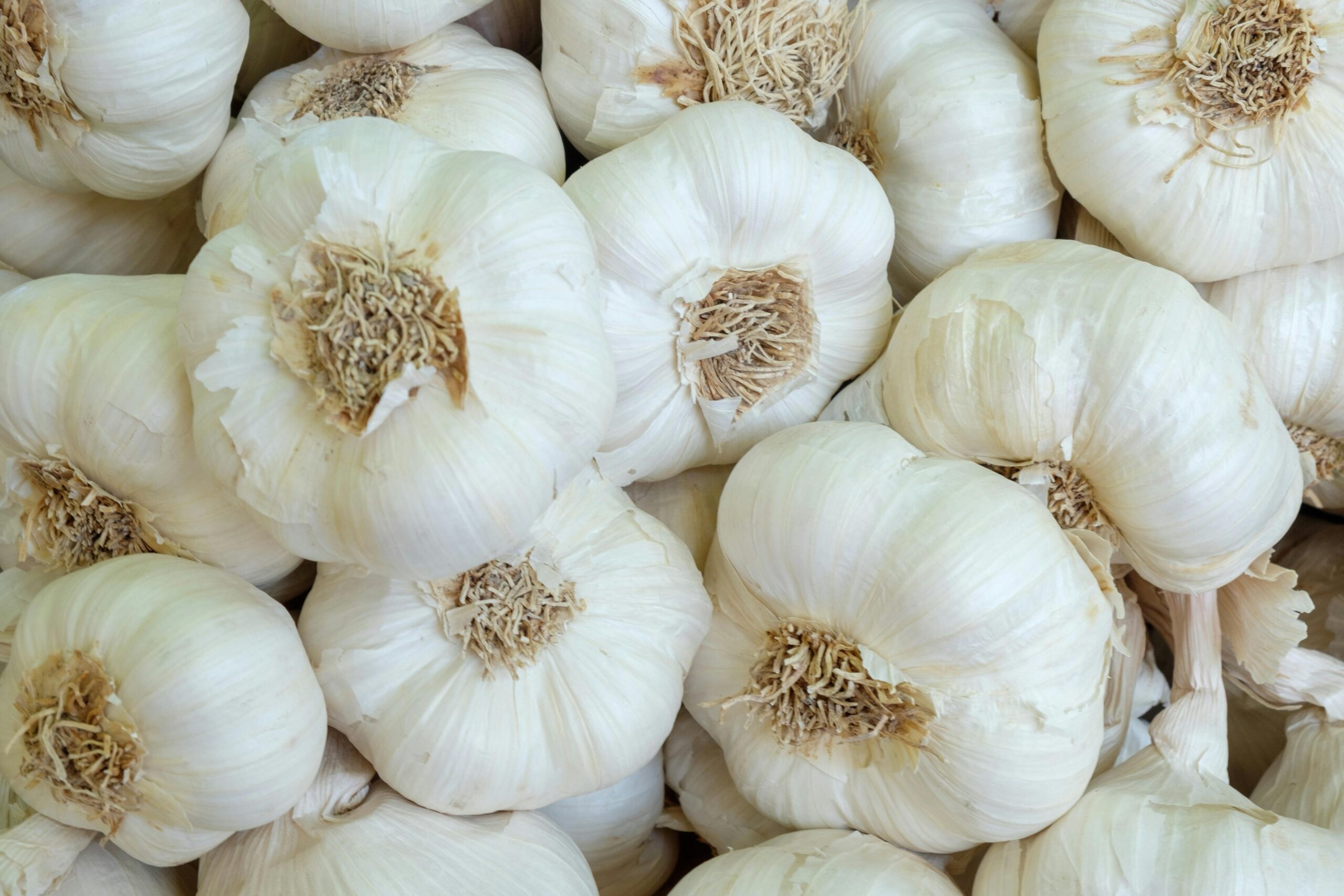 The Science of Garlic: Understanding Its Unique Chemistry - AGRICULTURE ...